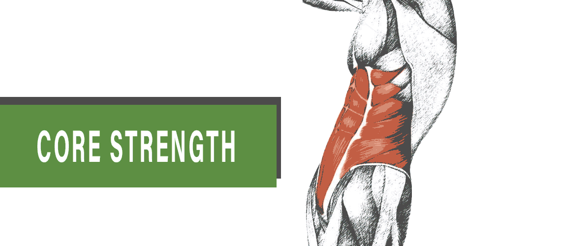 Skin for Life - Professional Skin Care & Equipment